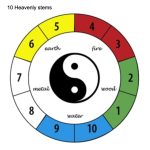 Class 3-5 Elements - Charlotte Acu Bodywork